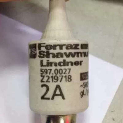Ferraz shawmut Lindner熔断器DIIGG50V2 gL/gG 597.0027/Z219718