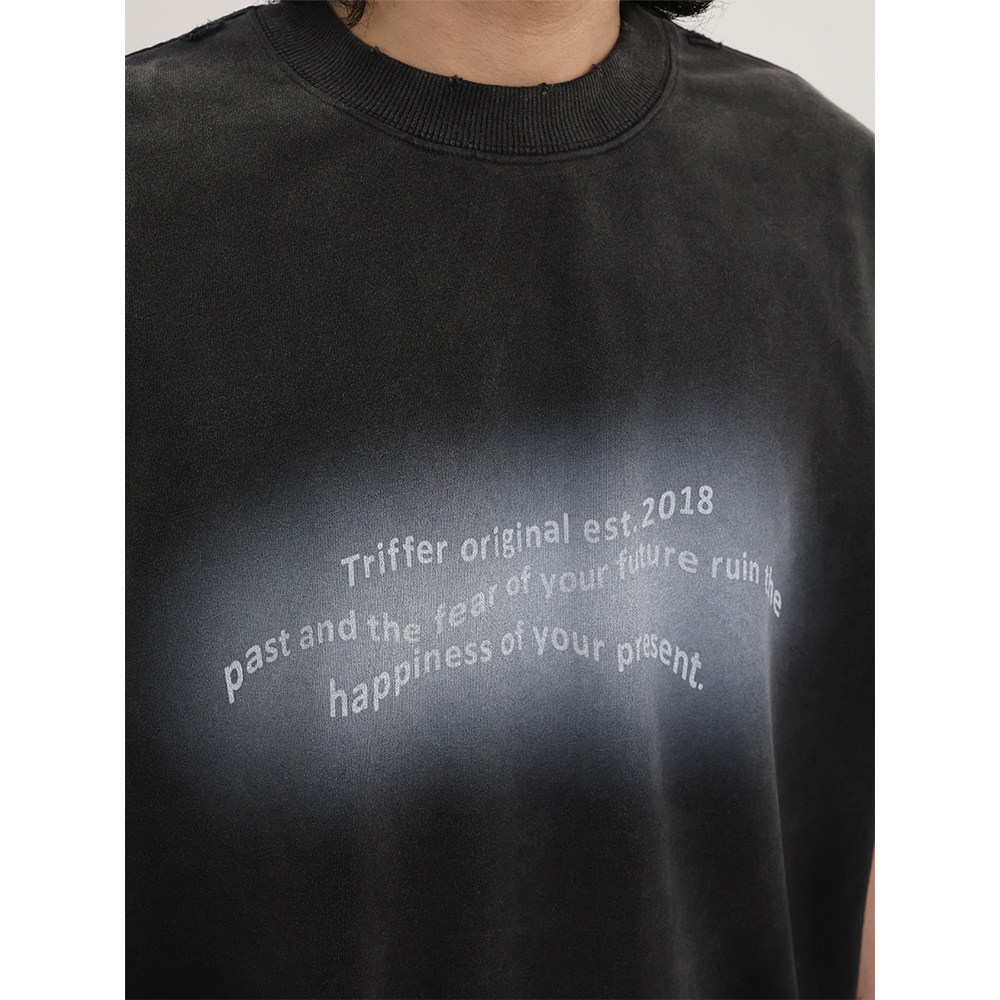 TRIFFER重磅炒色双纱磨毛305g马骝印花短袖tee男女款_虎窝淘