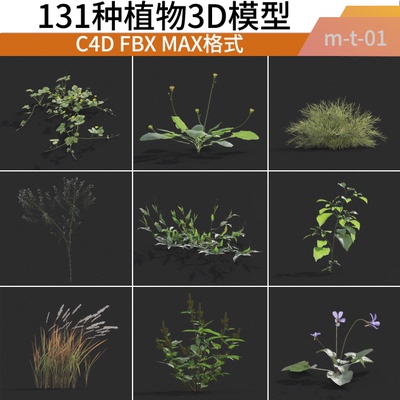 130种3D植物模型素材花草灌木c4d/max/blender/等