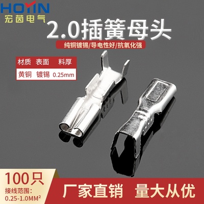 100个直插接线冷压端子