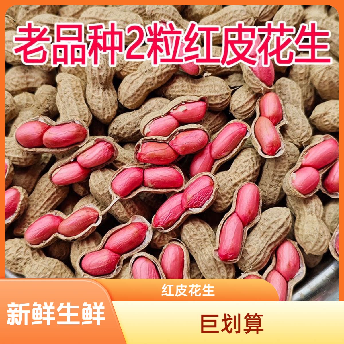 2025农家自种新鲜湿花生现挖泥花生带壳红皮小花生可水煮小粒花生