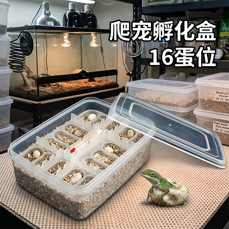 爬宠守宫孵化盒蛋托盒16蛋位含温度计爬虫蜥蜴睫角宠物蛇蛭石孵化