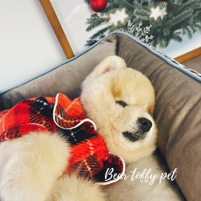 beartoffypet猫狗居家服珊瑚绒