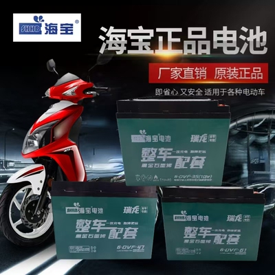 二轮三轮海宝电池电摩货车电动车