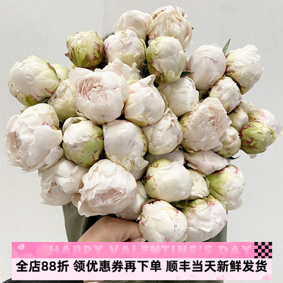 大芍药鲜花红色魅力白奶油碗