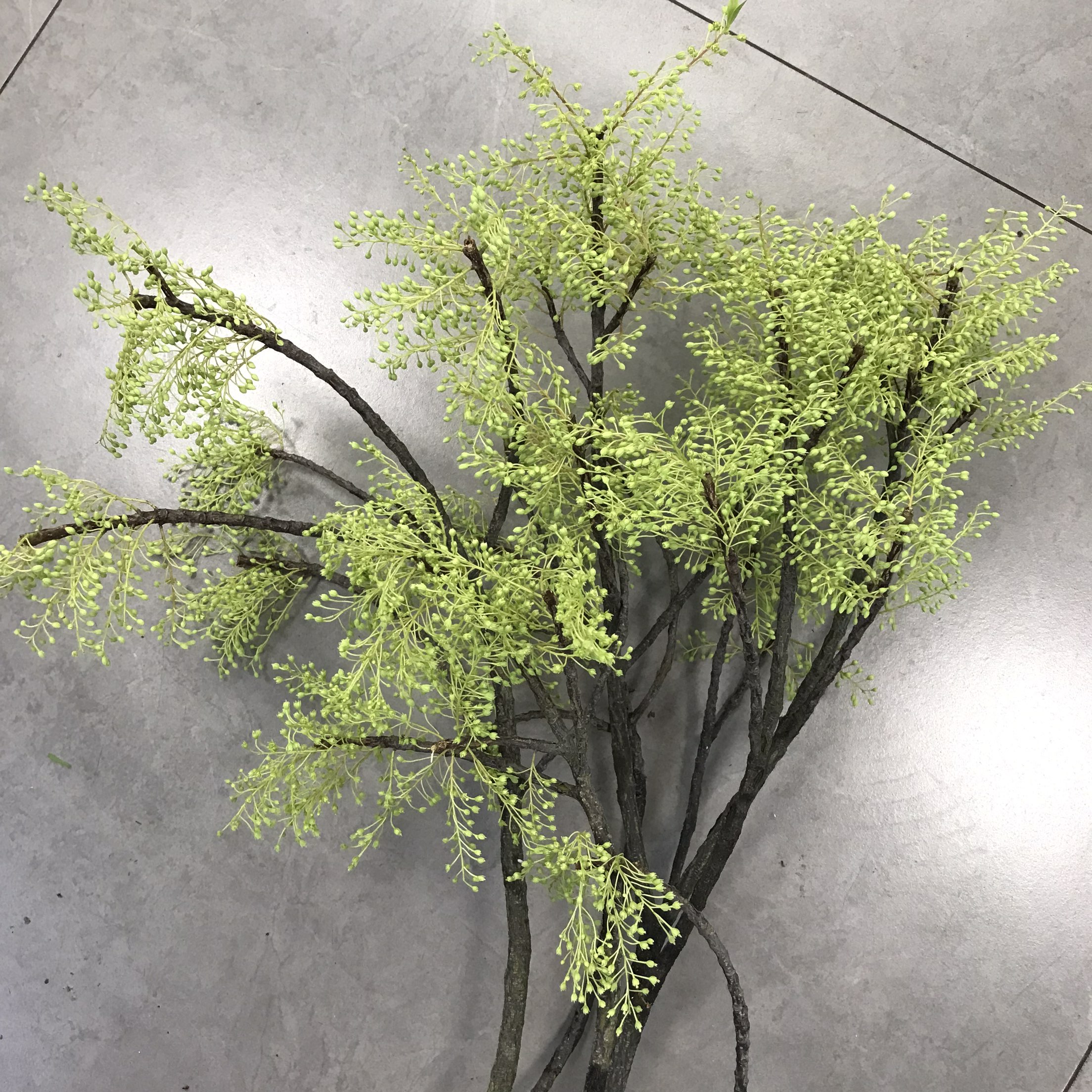 杜茵花木本鲜切枝小众好养百搭配花小清新家庭插花瓶鲜花同城配送