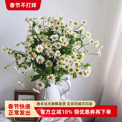 洋甘菊鲜花水培麦秆轻奢艺术插花