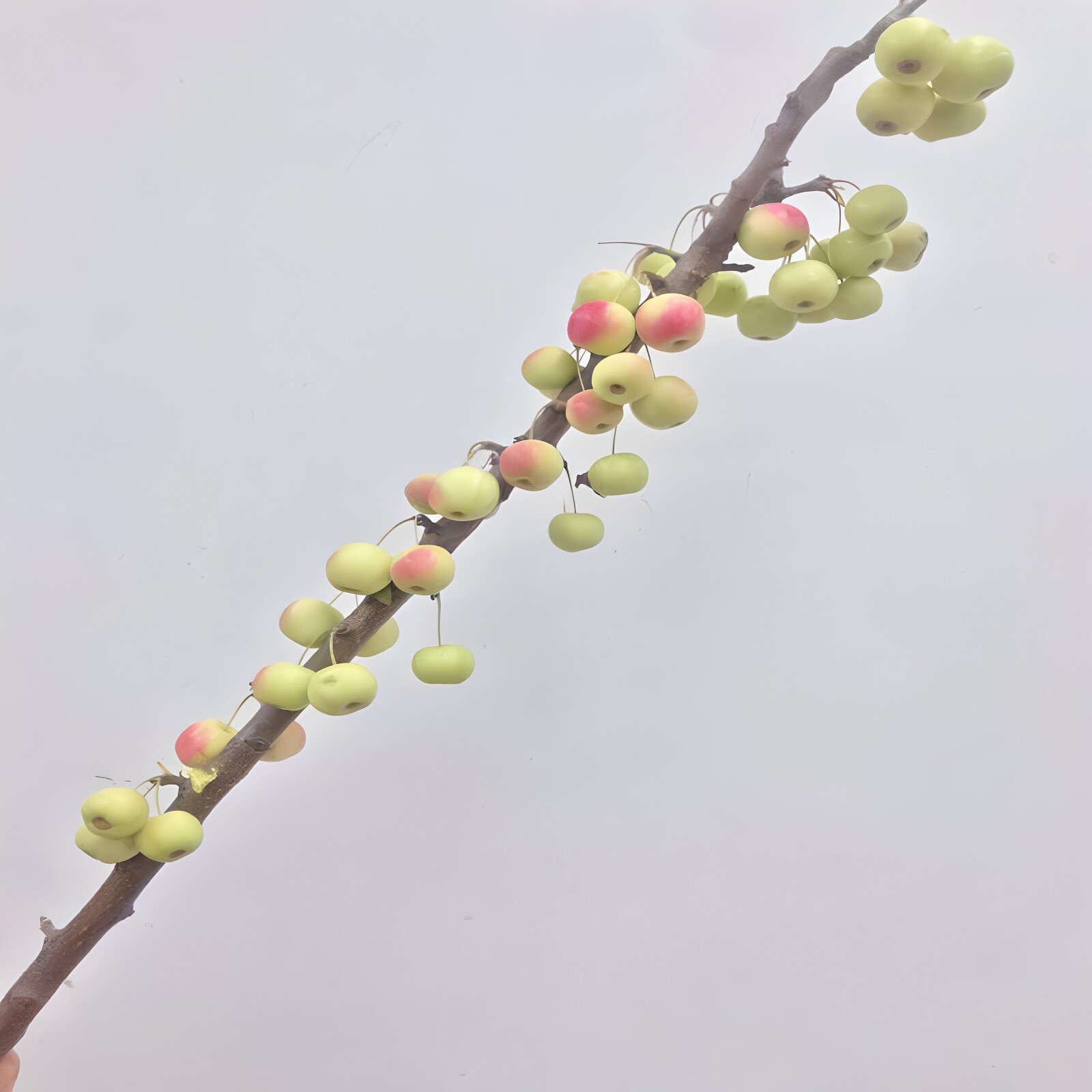 鲜切枝小苹果客厅摆件插花果实类鲜花造型花材同城速递顺丰次日达
