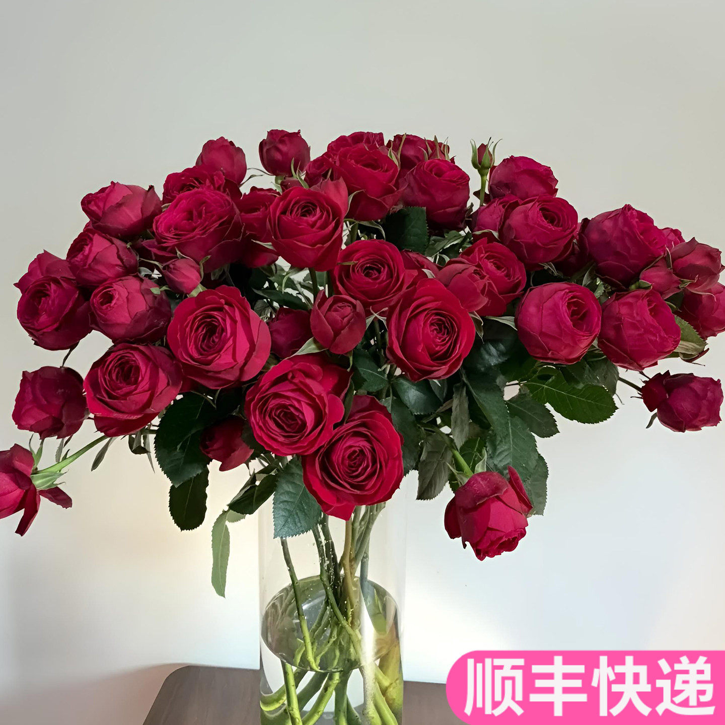 红蕾丝多头玫瑰泡泡鲜花插花家用办公室商务客厅花艺斗南基地直发