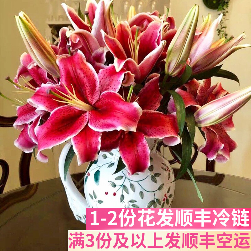 黑美人香水百合花斗南鲜花基地直发花卉市场批鲜切花发顺丰卡瓦娜