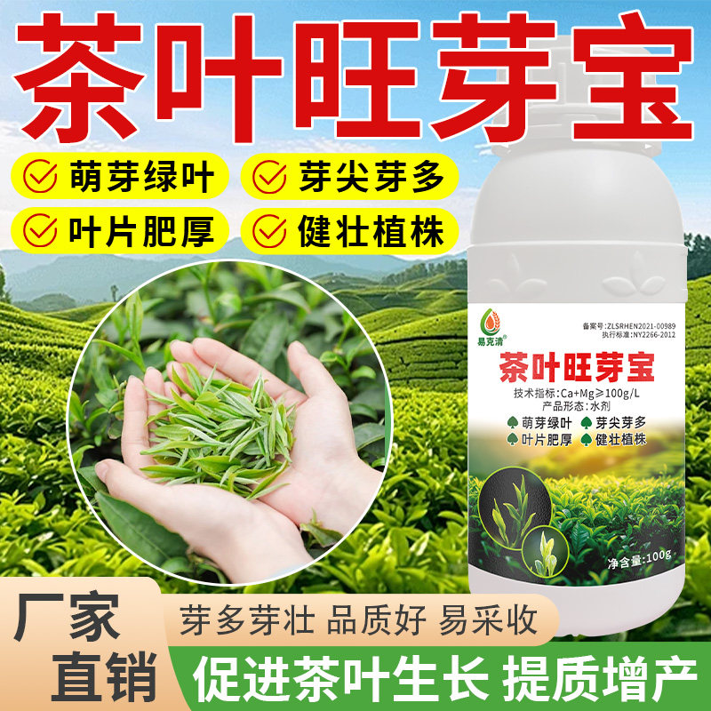 茶叶旺芽宝萌芽绿叶叶片肥厚芽尖芽多健壮植株芽多芽壮品质好肥料