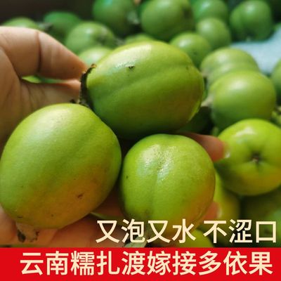 云南嫁接酸多依果糯扎渡渣子果又泡又水新品种送辣子面多依渣子