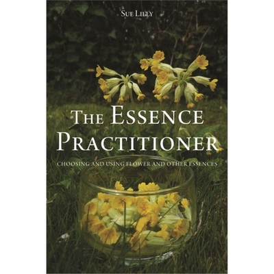 预订Essence Practitioner[9781848192508]