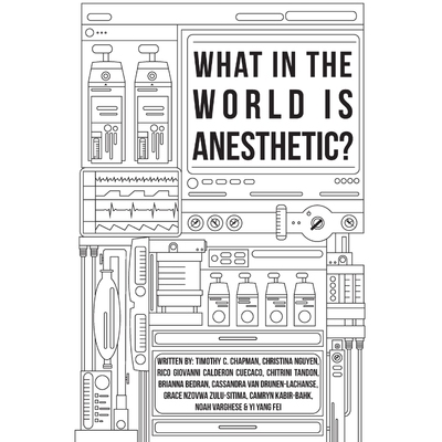 按需印刷不退不换What in the World is Anesthetic[9781773692319]