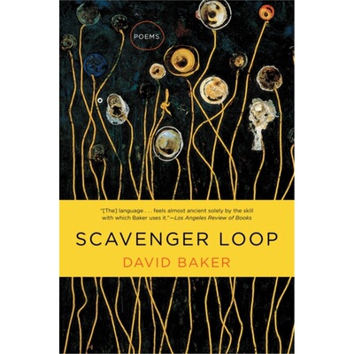预订不退不换Scavenger Loop[9780393353471]