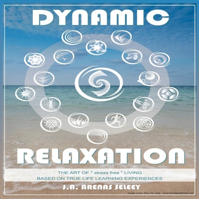 按需印刷不退不换Dynamic Relaxation[9781463419271]
