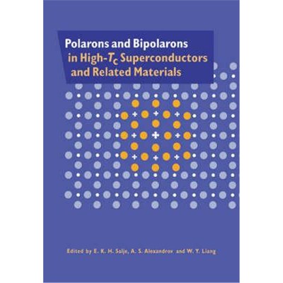 按需印刷不退不换Polarons and Bipolarons in High-Tc Superconductors and Related Materials[9780521017411]