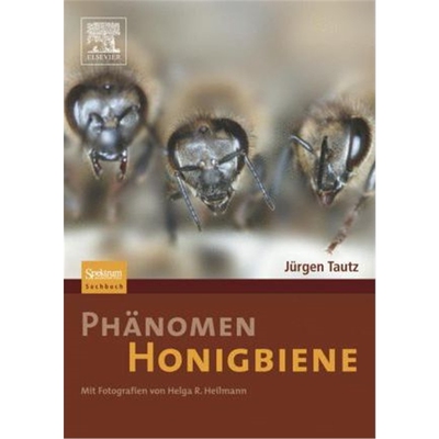 预订Phanomen Honigbiene