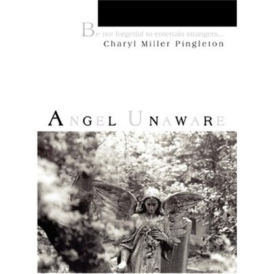 按需印刷不退不换Angel Unaware[9780595281107]