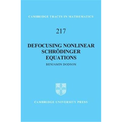按需印刷Defocusing Nonlinear Schroedinger Equations[9781108472081]