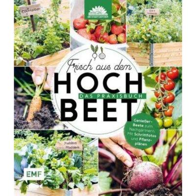 预订不退不换德语 Frisch aus dem Hochbeet - Das Praxisbuch:Genießer-Beete zum Nachgärtnern.