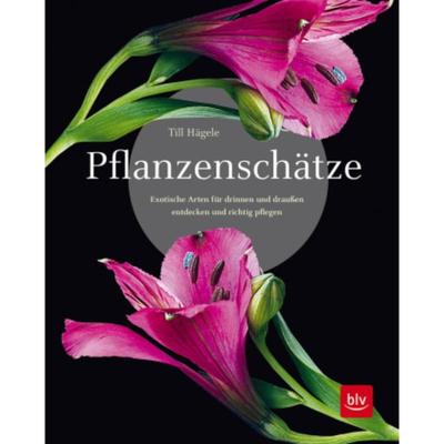 预订不退不换德语 Pflanzenschätze:Exotische Arten für drinnen und draußen entdecken und ric