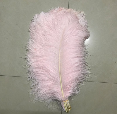 鸵鸟羽毛天瑞淡粉色摆件橱窗