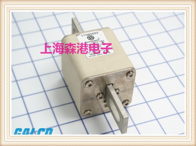 全新，保险丝，熔芯，底座，熔断器170M5692现货直拍