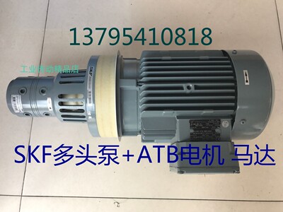 SKF多头泵  ZP1002-S2   ATB马达  AF 90L/8C-12  0.55KW  电机