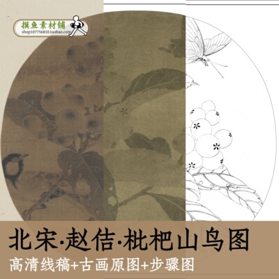 宋徽宗赵佶枇杷山鸟图页/高清宋画白描底稿+古画原图+步骤图x538