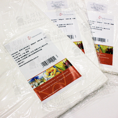 哈内姆勒莱昂纳多水彩纸粗糙 中粗 细纹300g 600g纯棉纸2开 4K 8K