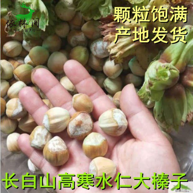 东北长白山新鲜去皮大榛子新货水仁水瓤鲜生晒干吉林原味炒熟榛子