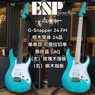 ESPGrassroots草根电吉他