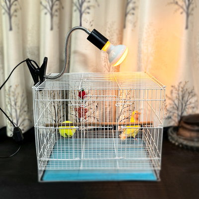 陆龟灯夹uva随意带开关爬虫