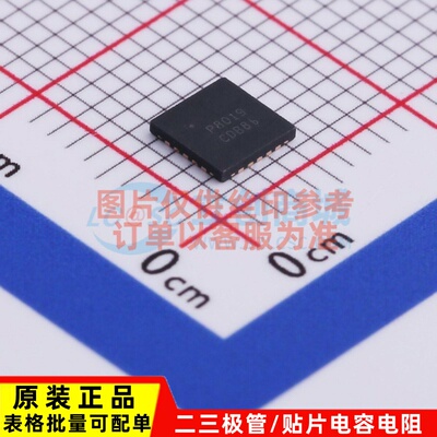 音频功率放大器 PAM8019KGR QFN-20 DIODES(美台) 电子元器件配单