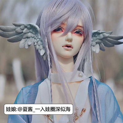 【私养展示】2ddoll 68体叔叔 罗雀