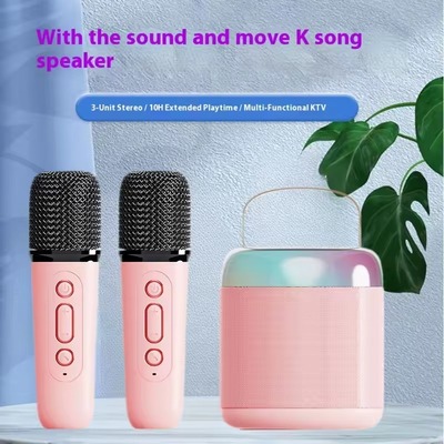 Portable Microphone And Speaker Bluetooth  Camping  Karaoke