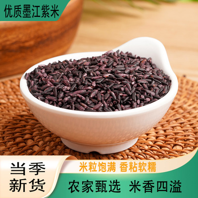 墨江紫米农家甄选米粒饱满无杂质