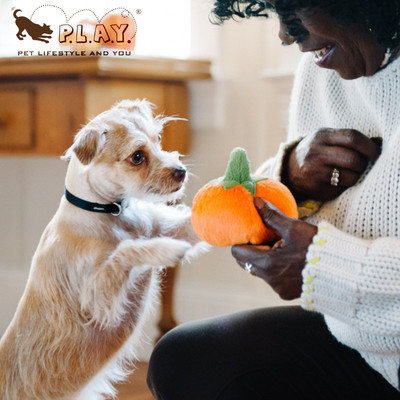 Petplay宠物狗狗逗趣解闷发声互动陪伴玩具小狗自嗨神器智力开发