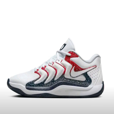 Nike KD 17 篮球鞋 FJ9488-101 河北ZY仓