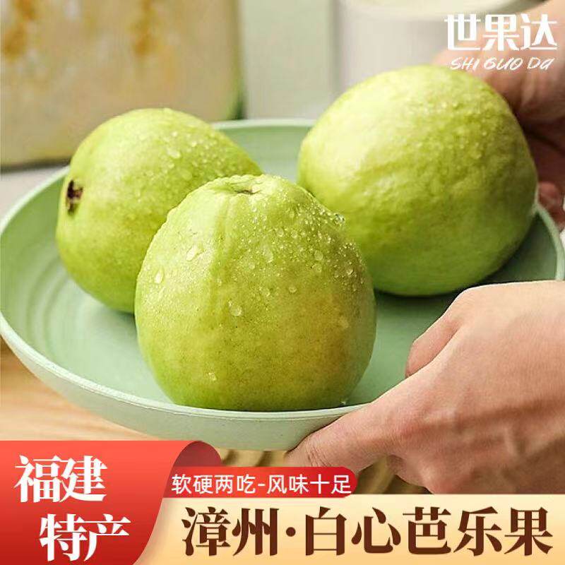 福建白心番石榴珍珠芭乐脆甜软糯漳州特产南方水果整箱顺丰5斤装