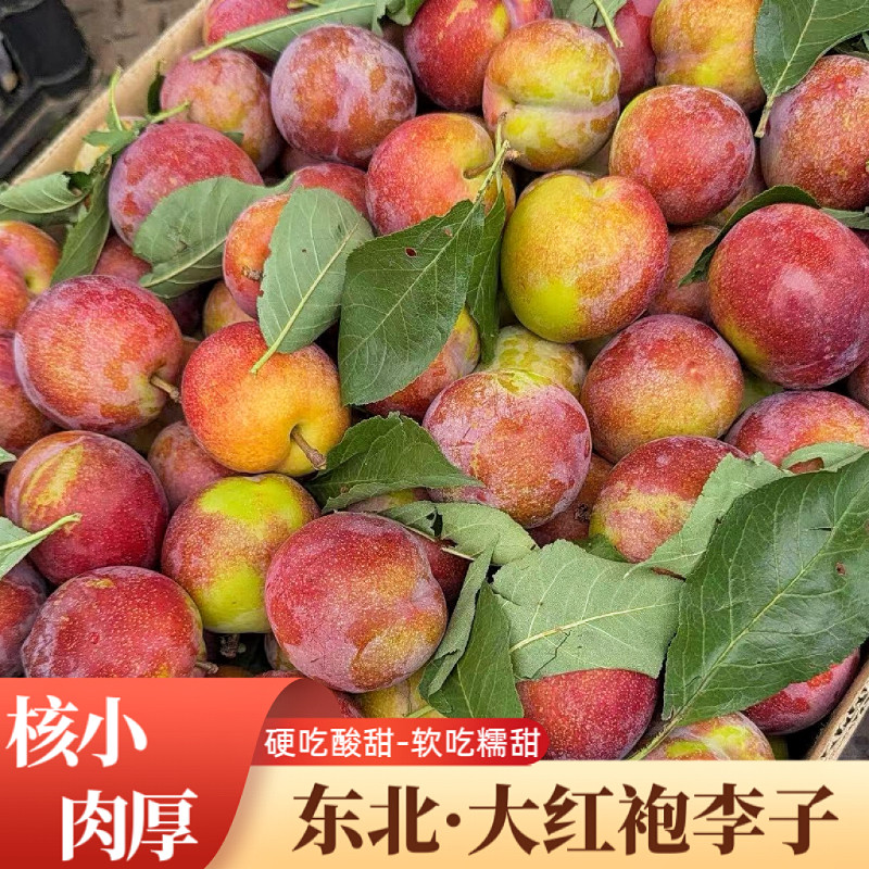 正宗辽宁大红袍李子东北特产干核脱骨李顺丰新鲜水果