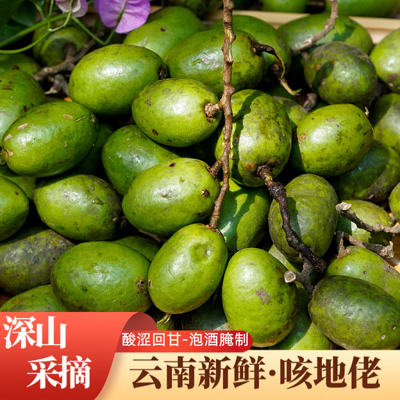 云南新鲜咳地佬嘎哩啰滇青果太平洋橄榄泡酒生吃诃子沙梨特色水果