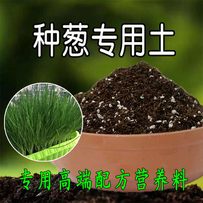 种葱专用土营养土小葱姜蒜蔬菜土种菜土壤肥料养花阳台有机腐殖土