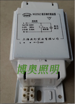 亚明照明 250W高压钠灯镇流器NG250ZNTJ 150W整 上海亚灯400W瓦