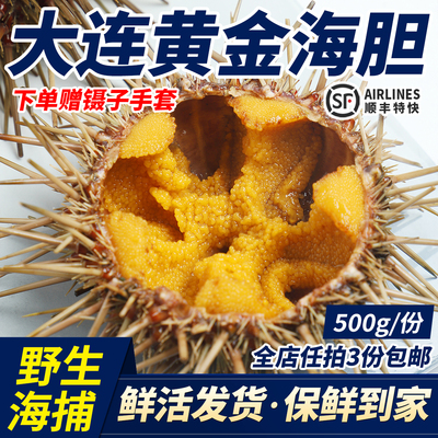 大连海胆鲜活刺身1斤4-6只