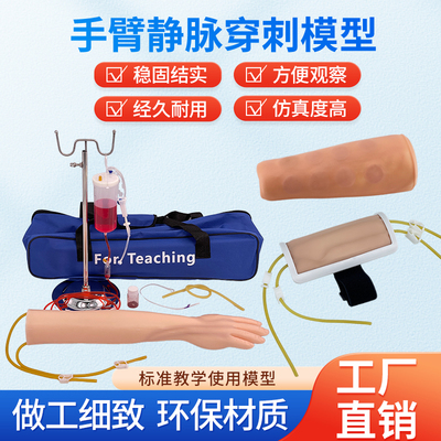 黄和模型人体输液手臂穿刺教学