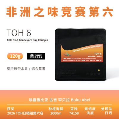 光宗豆号TOH6咖啡豆果味强