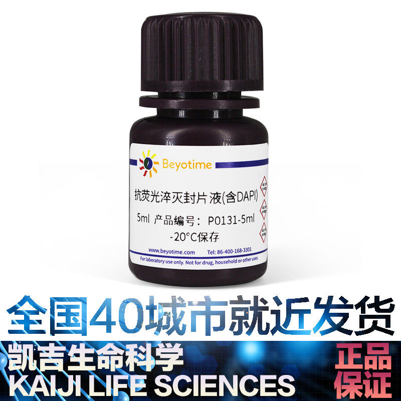 碧云天Beyotime P0131-5ml P0131-25ml抗荧光淬灭封片液(含DAPI)_虎窝淘