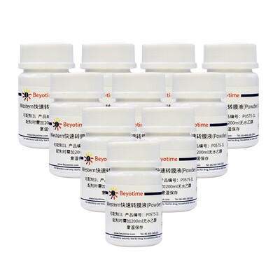 碧云天 Beyotime P0575-1L P0575-10L Western快速转膜液(Powder)